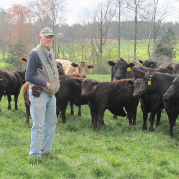 Capturing Hybrid Vigor in Cattle | Successful Farming